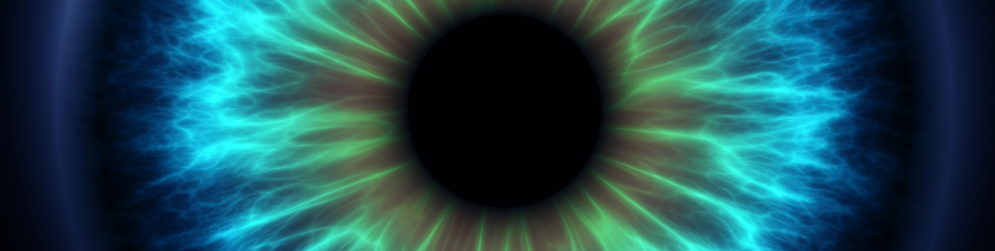 How the Eye Works - LIC Vision Associates